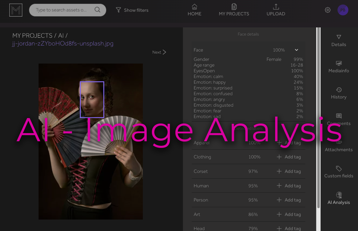 AI - Image Analysis – Media Tailor